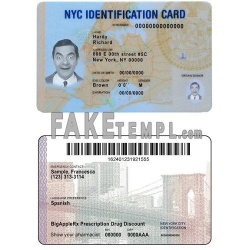 USA New York identity card photoshop template PSD